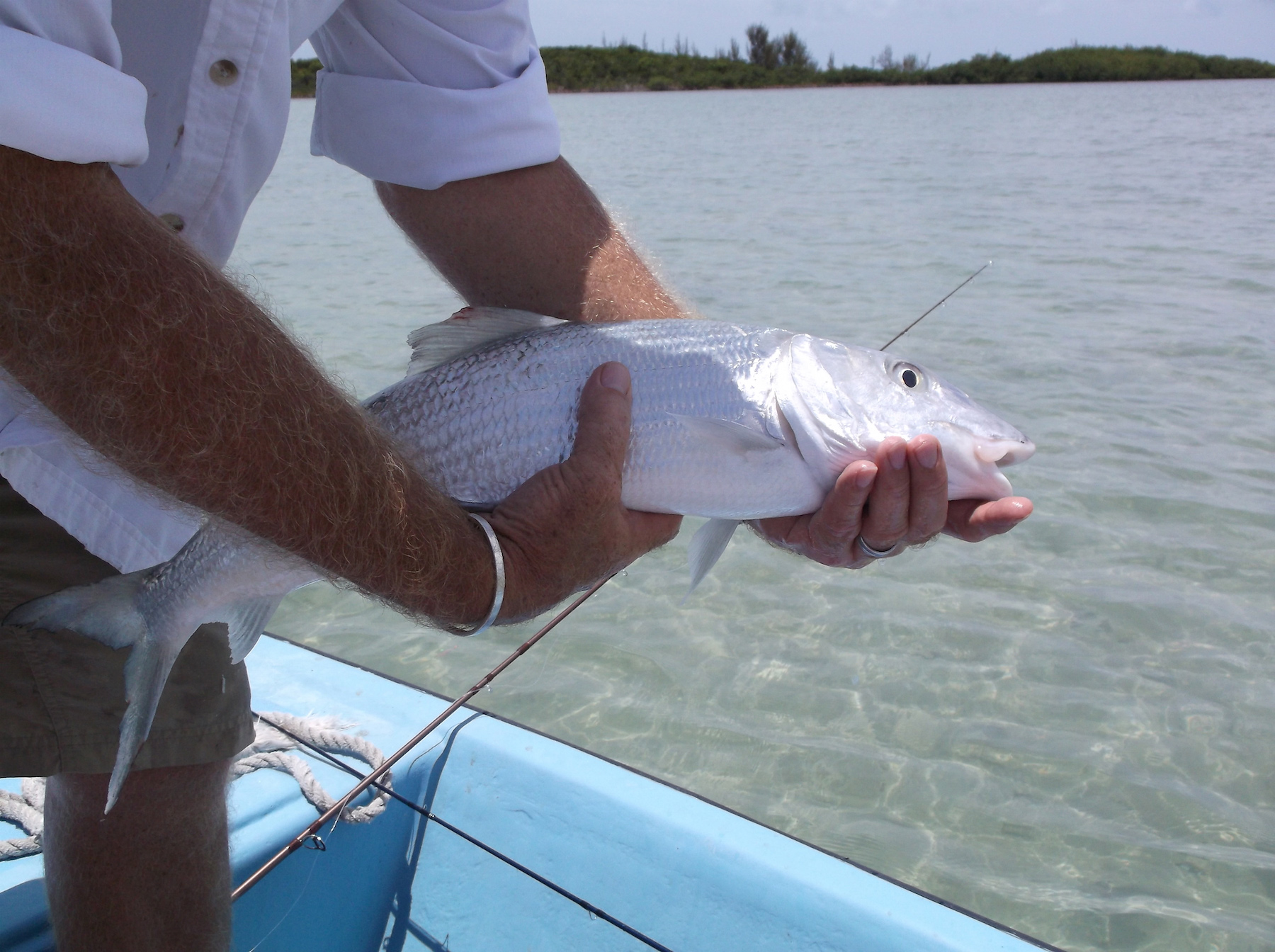 Nassau, Spanish Wells, Eleuthera Bonefishing Excursions and Day Trips