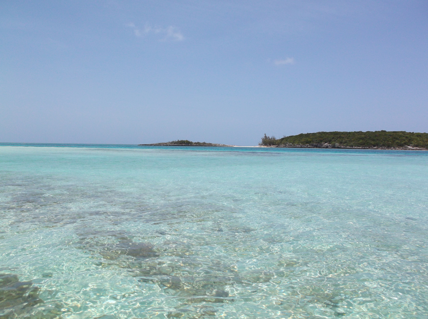 Home - Bahamas Bone Fishing