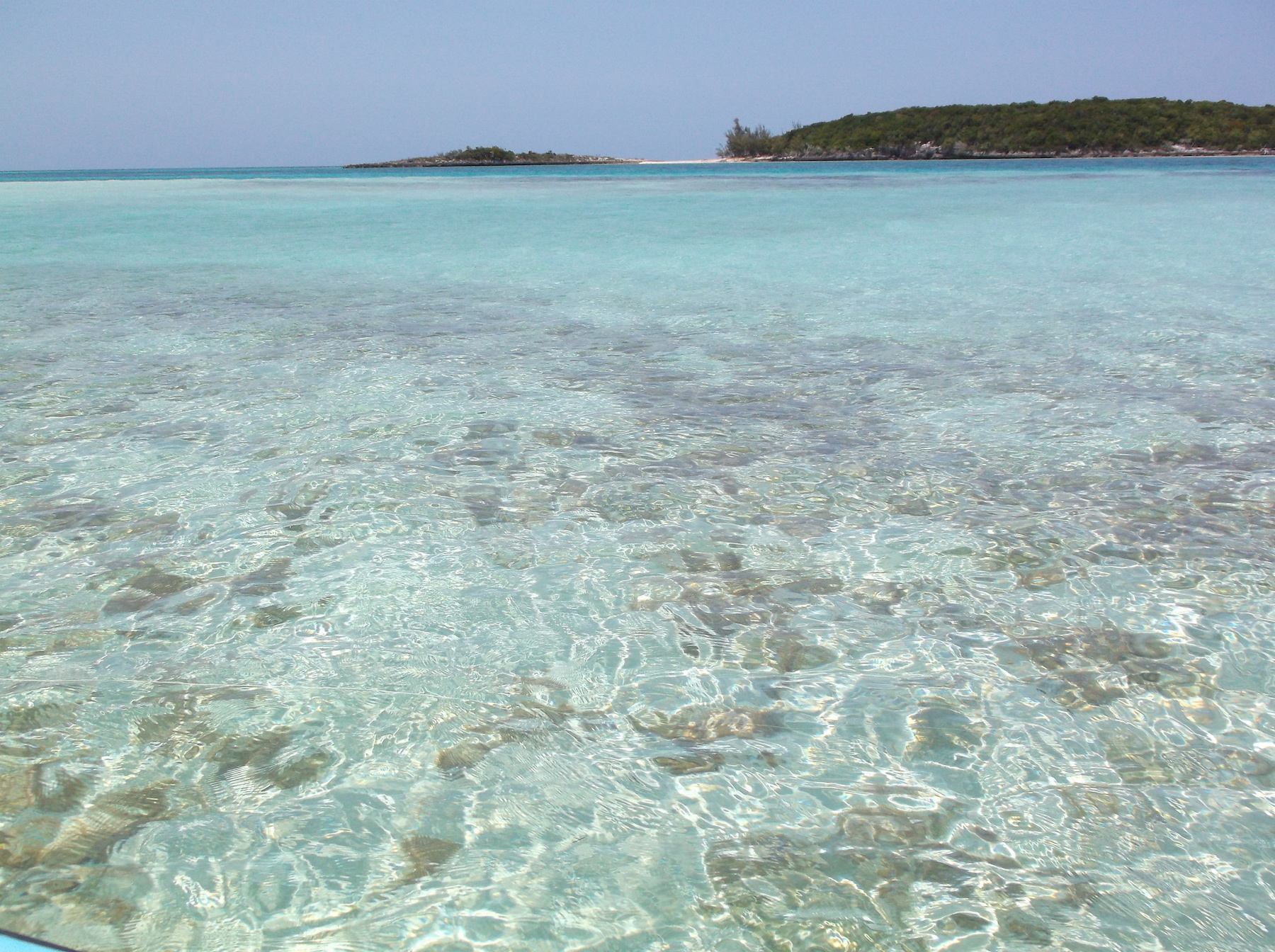 Home - Bahamas Bone Fishing